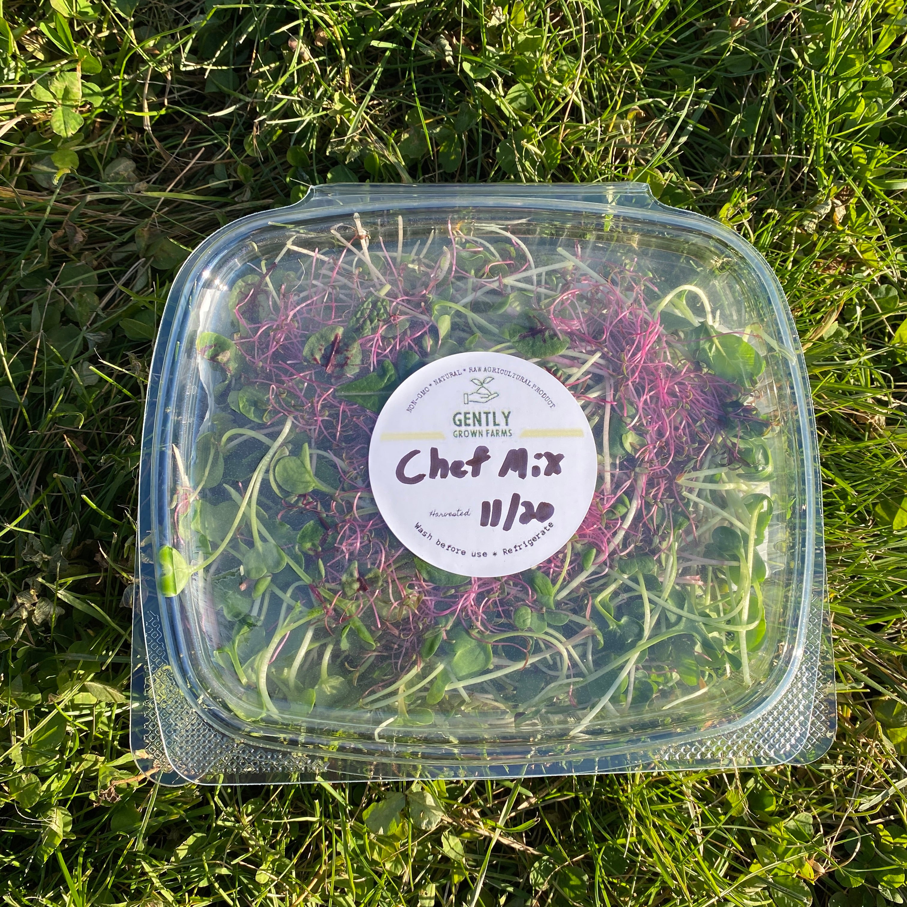 Chef Mix Microgreens – Gently Grown Farms